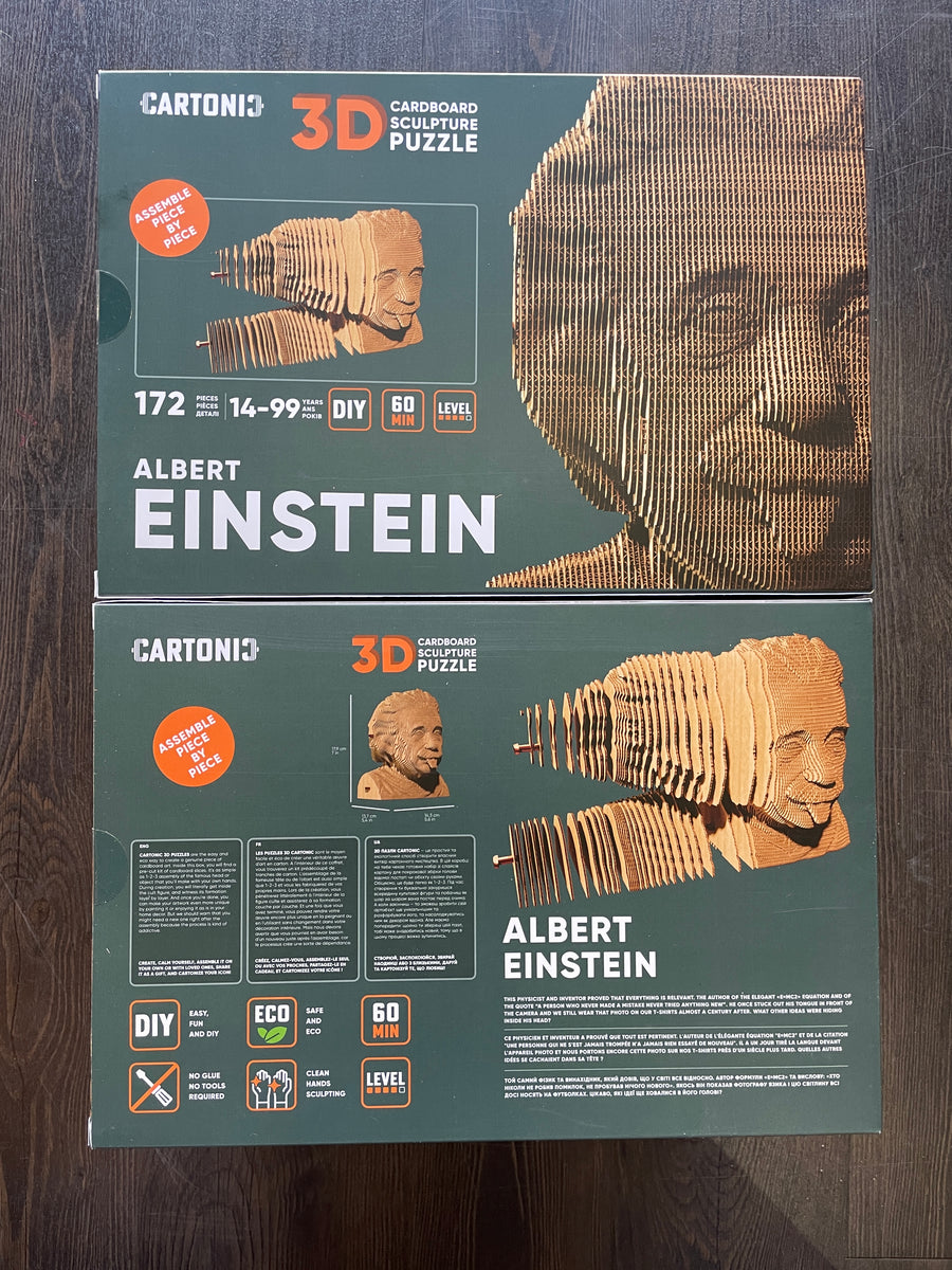 Albert Einstein - 3D Cardboard Sculpture Puzzle – LEN: Democratic Purveyors